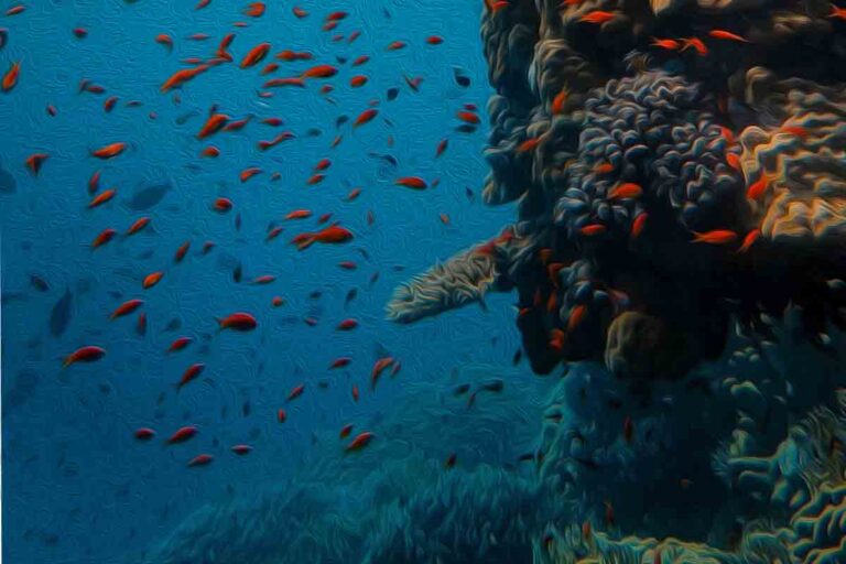 How does The Retail Equation protect merchants from shoppers who love ...