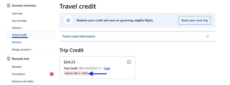 American Airlines travel credit: What to know about each type