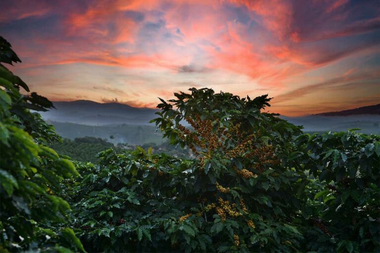 How does The Retail Equation protect merchants from shoppers who love ...